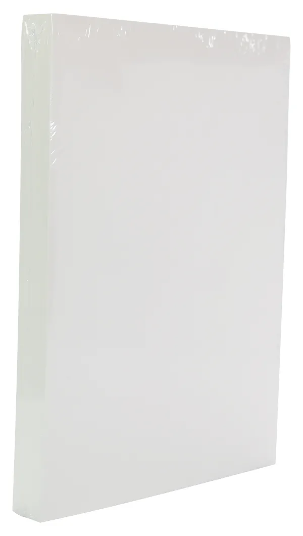 GuardMark 4 Cleanroom Munising Paper Sterile | Micronclean